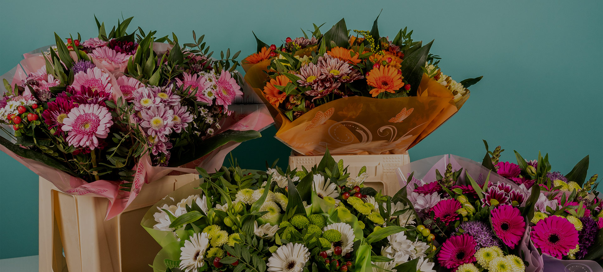 DL Flowers - Uw partner in sierteelt.